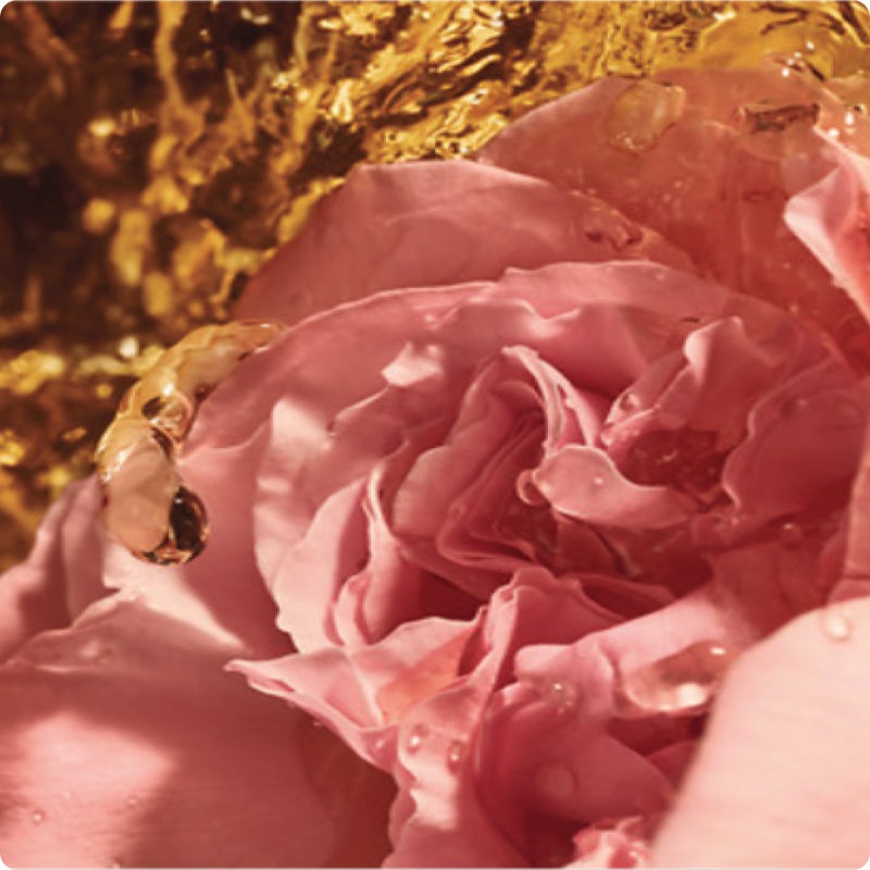 Yves Rocher USA - Natural Beauty Products