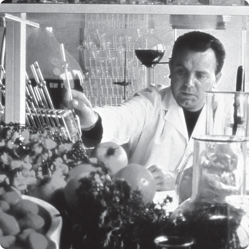 Yves Rocher Story Timeline